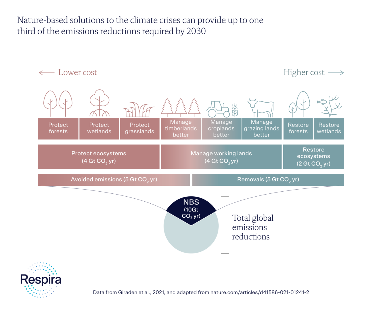 Nature-based carbon credits explained | Respira International Ltd